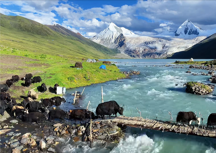 Go|gopls更新-优化编译及内存占用 - 知乎