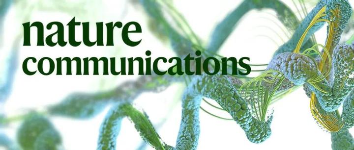 Nat Comm | 张锴/许丽艳团队首次报道原核生物中乳酸化修饰调控因子 - 知乎