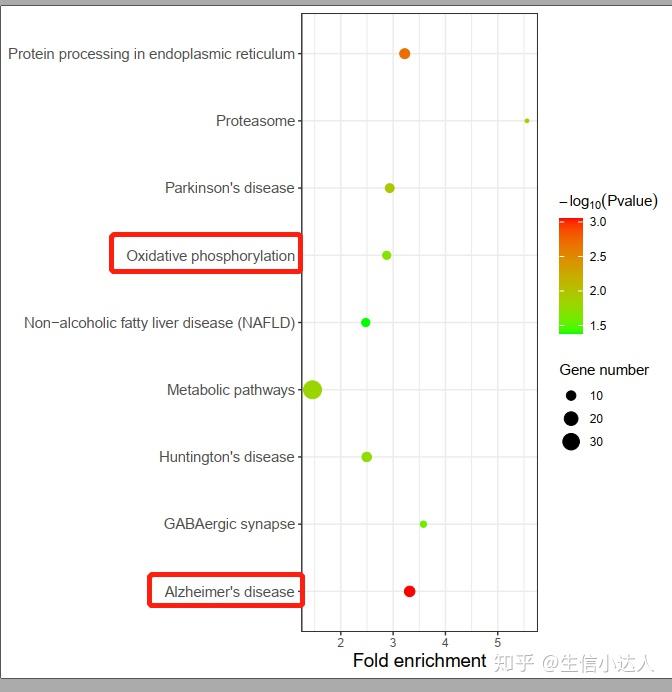 GSEA安装使用教程 - 知乎