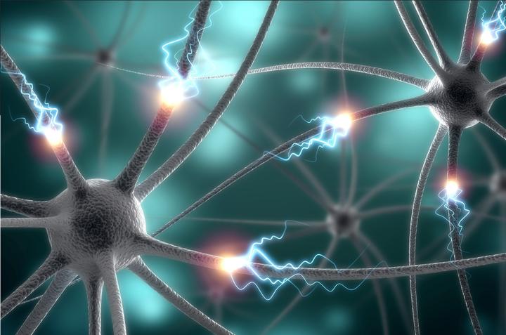 干货 | 细胞凋亡早期的标志性检测：JC-1、JC-10 - 知乎