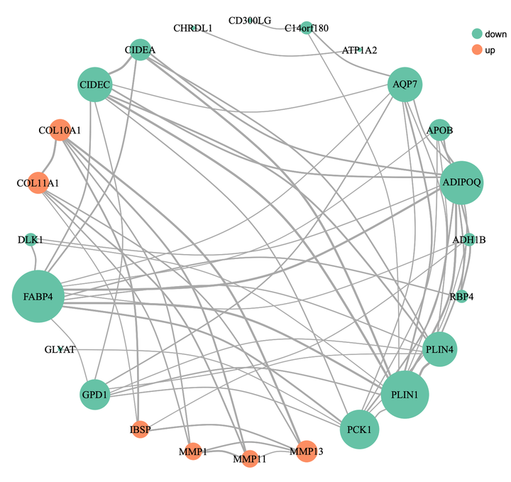 R高级绘图 | 不用 Cytoscape 也能绘制精美的蛋白互作（PPI）网络图啦！| STRING 网站 + R 代码 - 知乎