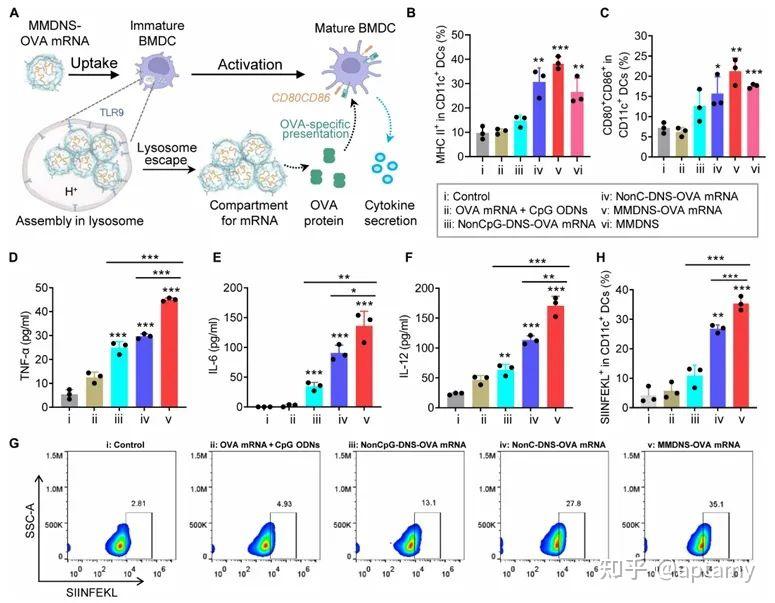 Sci Adv：搭建mRNA疫苗的专属工作间 - 知乎