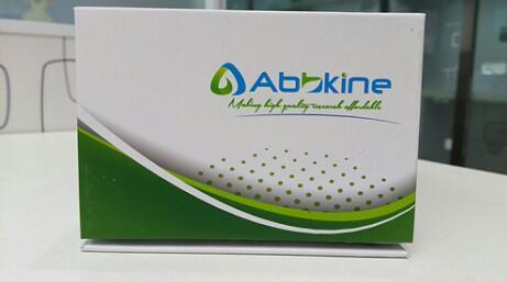 Abbkine ExKine总蛋白提取试剂盒的适用性和特点介绍 - 知乎