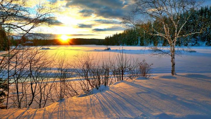 图解LeetCode——剑指 Offer 66. 构建乘积数组 - 知乎