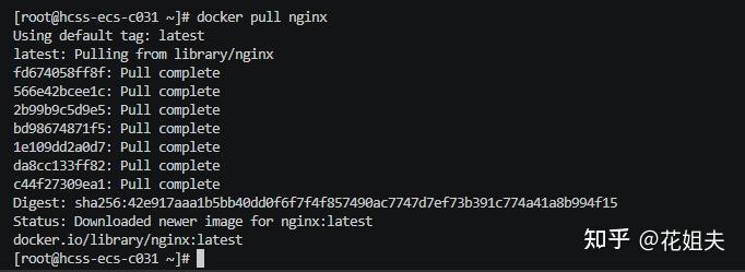 基于CentOS的Docker + Nginx + Gitee + Jenkins部署总结 - 知乎