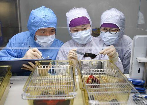 上海ABSL-2实验室条件下的标准操作 - 知乎