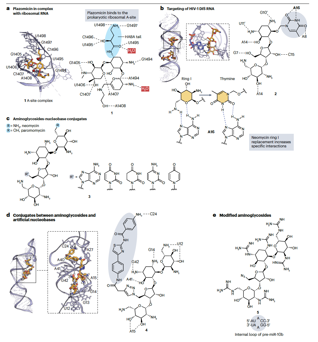 Nat. Rev. Chem. | 小分子与RNA的碰撞 - 知乎