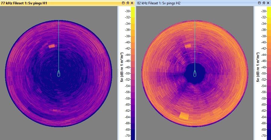 Echoview 13.1 （回声观察/水声数据处理软件）升级更新 - 知乎