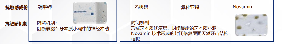 牙医用什么牌子的牙刷牙膏？