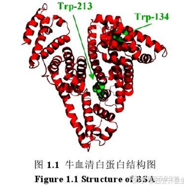 CY3-BSA，CY3荧光染料标记的牛血清白蛋白 - 知乎