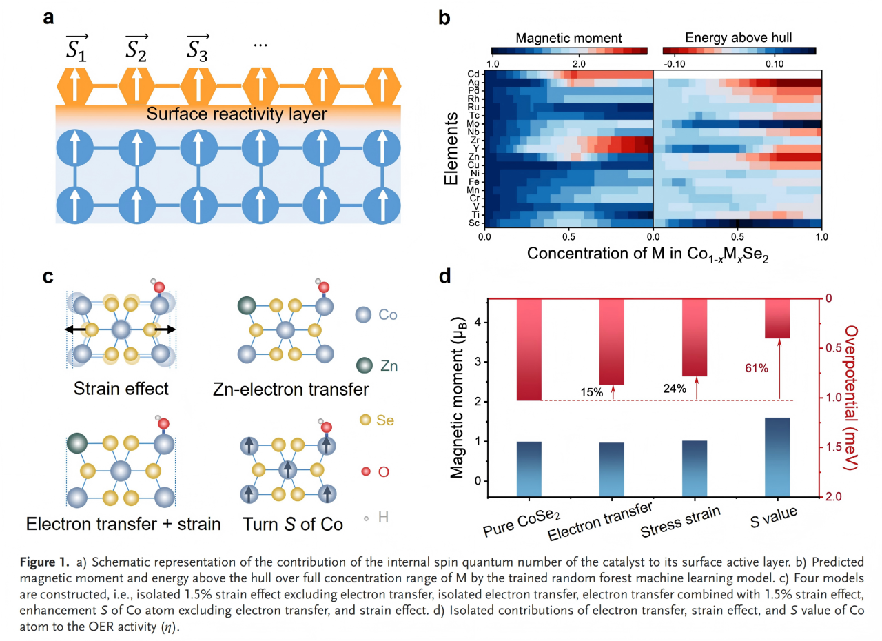 杰青领衔！中山大学/北京科技大学最新AFM！自旋调控突破OER电催化剂的火山峰活性限制 - 知乎