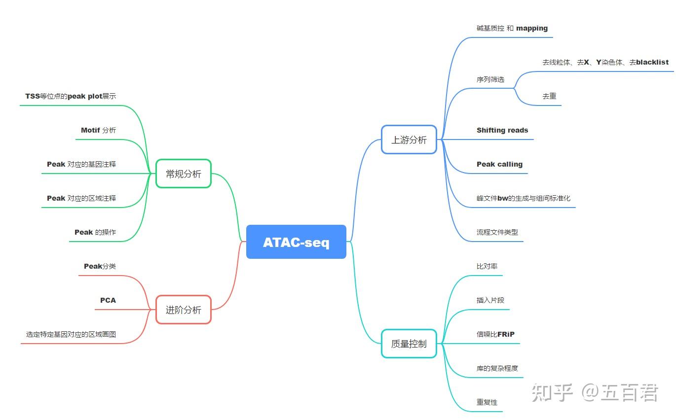 入门ATAC-seq，你需要知道什么？ - 知乎