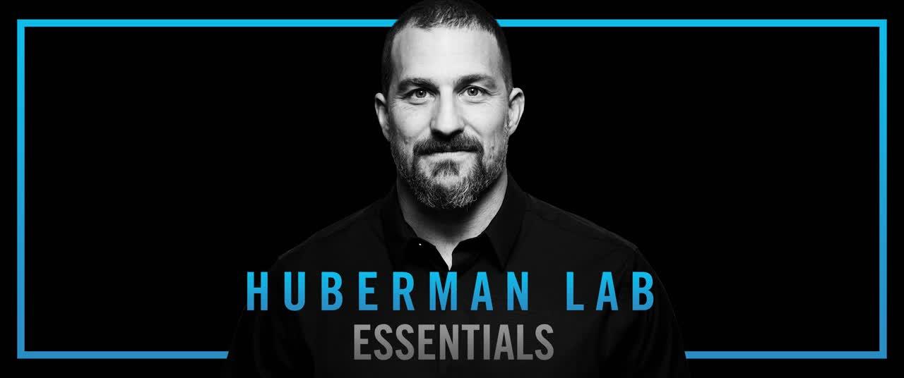 如何评价Andrew Huberman的播客节目Huberman Lab Podcast？ - 知乎