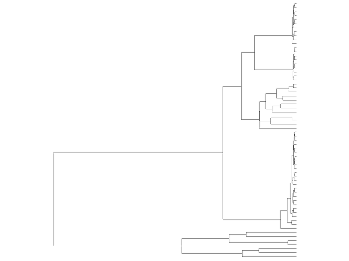 使用ggtree包，结合pheatmap结果，绘制系统发育树 - 知乎
