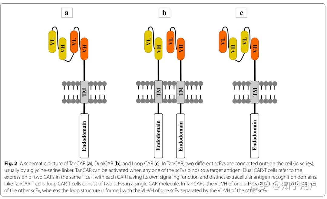 CAR各个模块的总结（包含最近的发现） - 知乎