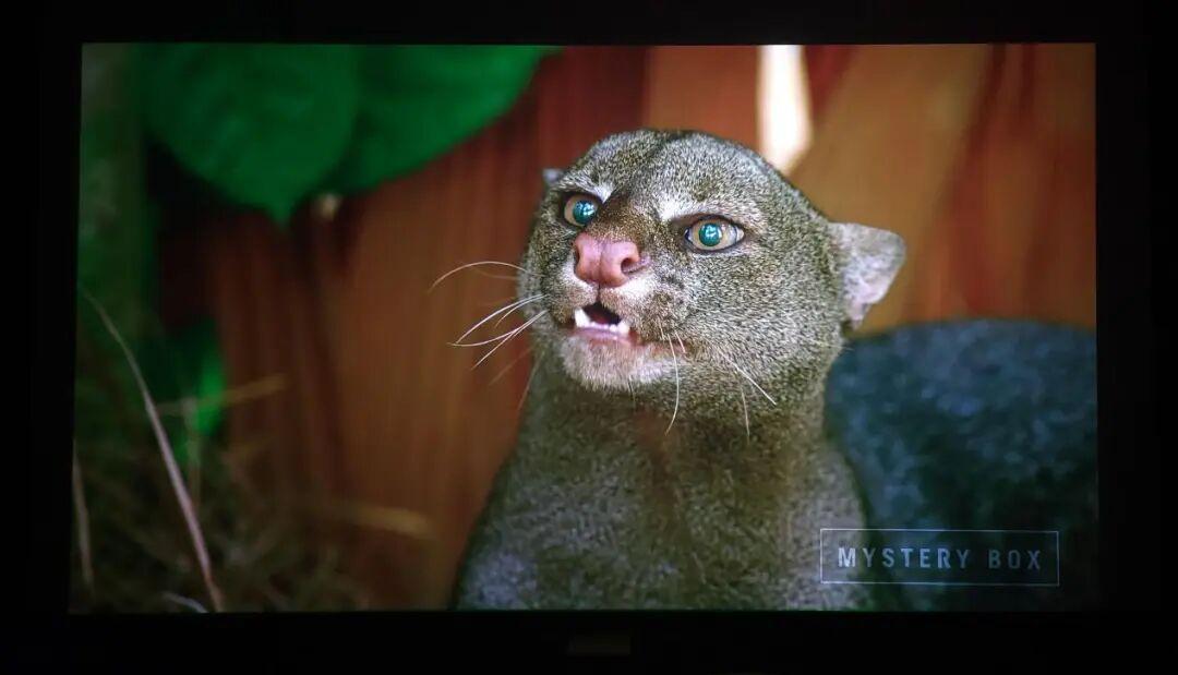 多珀Doopoo X300 8K媒体播放器试用评测 - 知乎