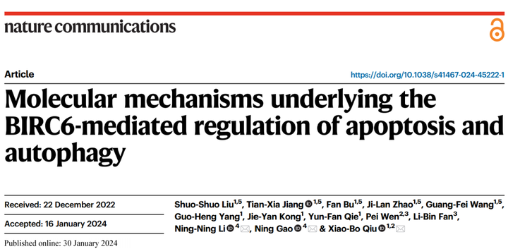 Nature Communications | BIRC6介导的细胞凋亡和自噬调控的分子机制 - 知乎