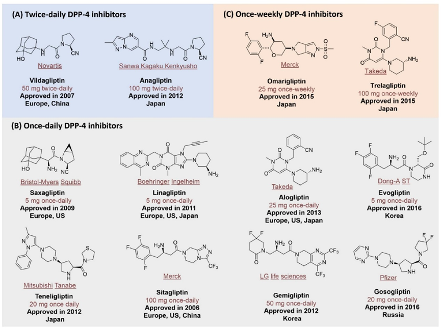 DPP-4 抑制剂、及长效药物设计原理 - 知乎