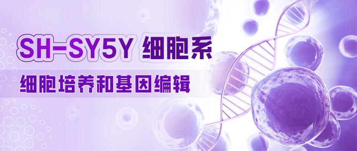 科研笔记｜如何做好SH-SY5Y的细胞培养与基因编辑 - 知乎
