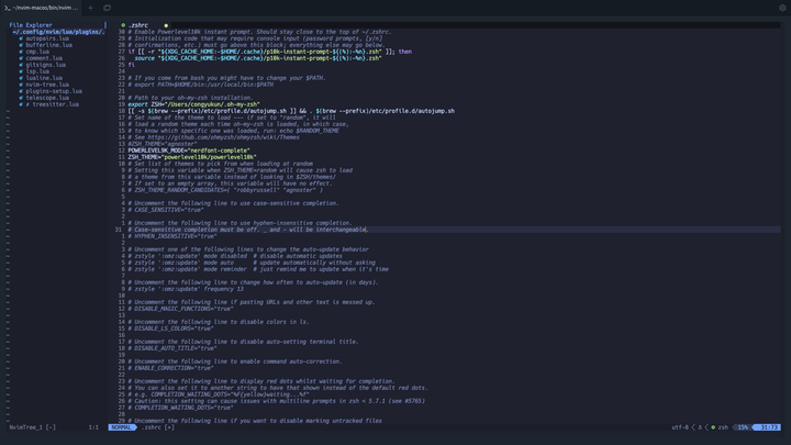 干掉vim的神奇neovim替代IDE,来教你快速上手配置,保姆教程 - 知乎