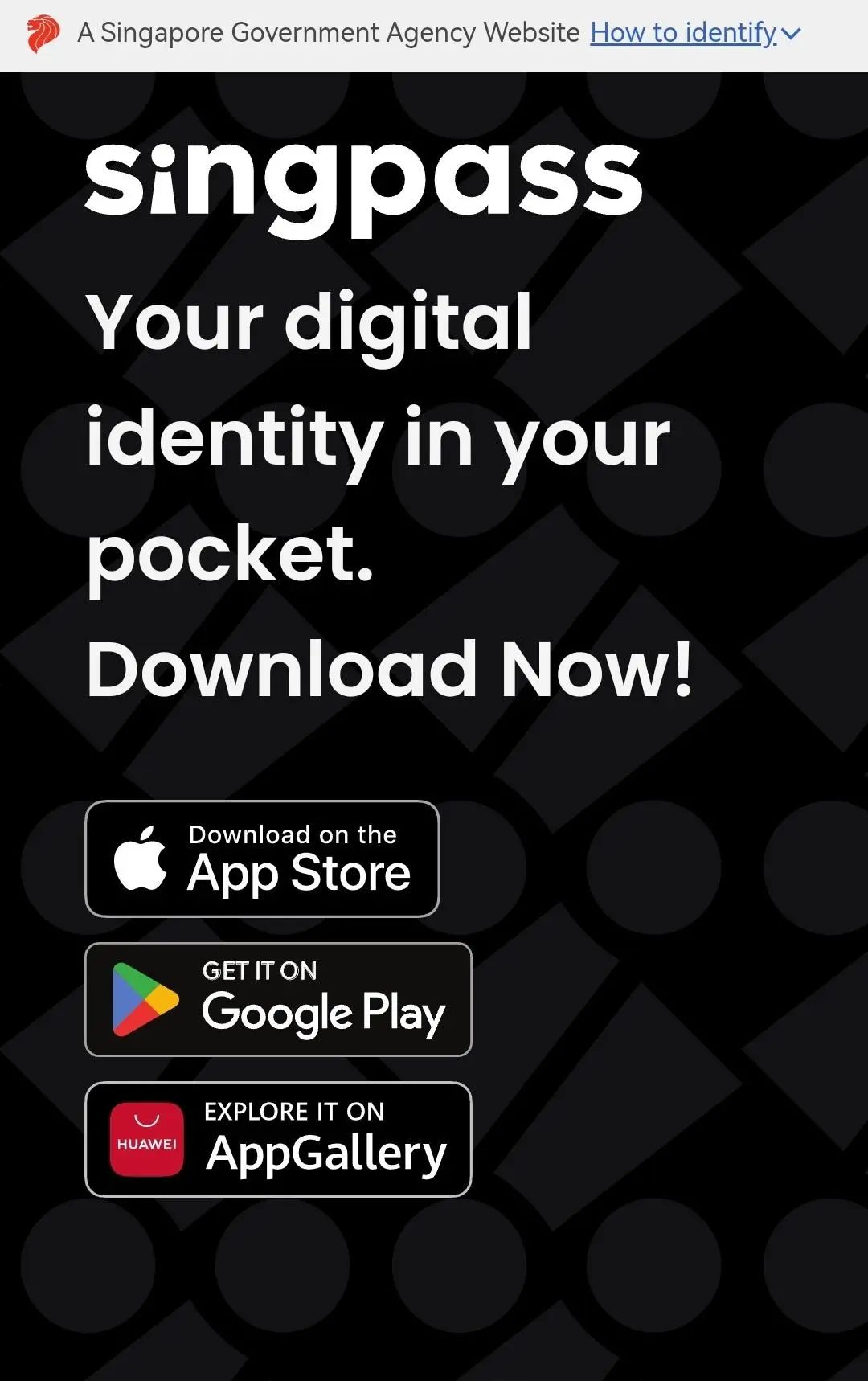 最新干货｜手把手教你如何办理新加坡电子版学生准证和查验攻略，附Singpass申请指南 - 知乎