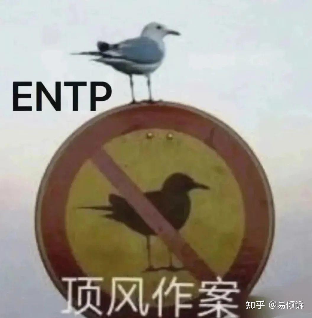 MBTI测试 | ENTP-A与ENTP-T的区别 - 知乎