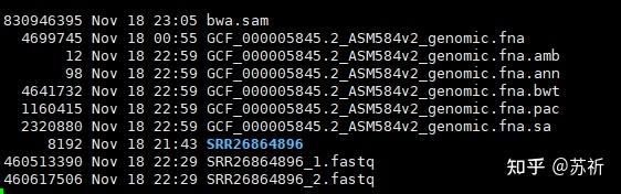 bwa：序列比对操作介绍 - 知乎