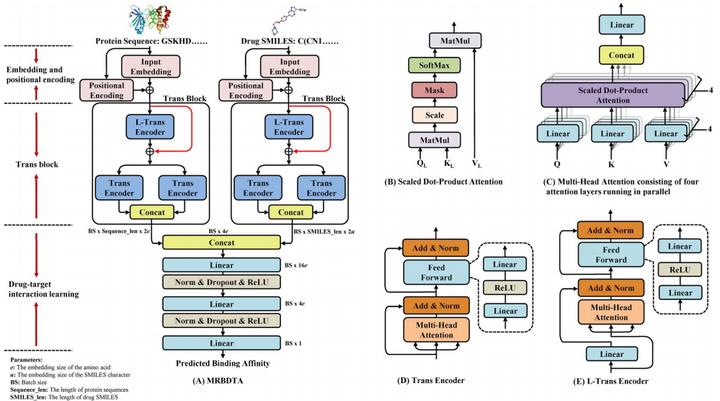 论文笔记3|Predicting drug-target binding affinity through molecule representation block based on m ...