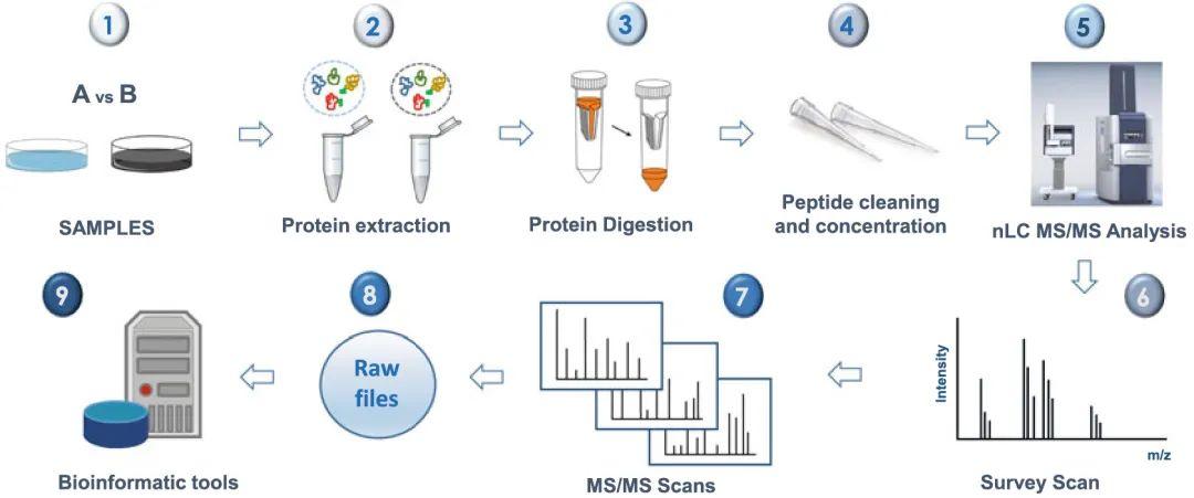 蛋白质组学技术大比拼：Astral-DIA为何脱颖而出？ - 知乎