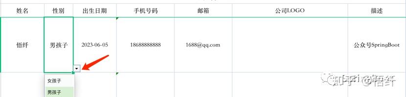 导出下拉列表的两种小技巧【EasyPoi实战系列】- 第473篇 - 知乎