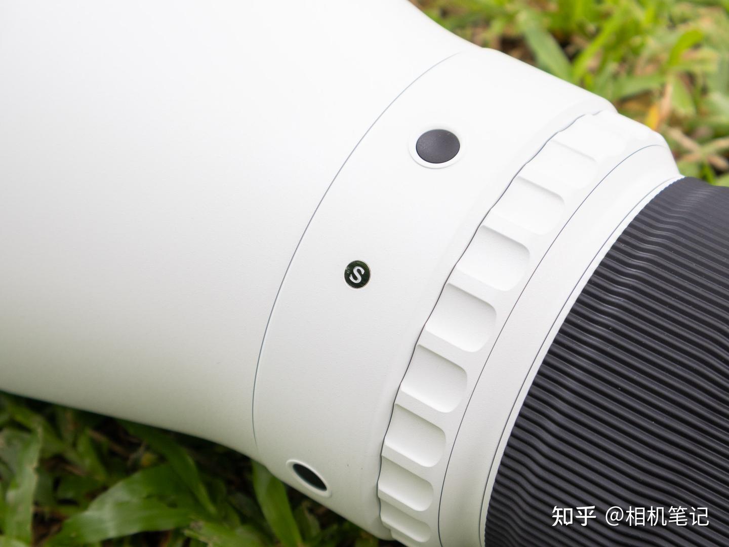 不到4万元！适马300-600mm F4生态拍摄体验 - 知乎
