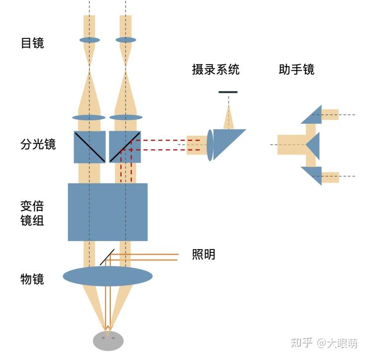 眼科手术显微镜 - 知乎