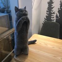 (PythTB) Breathing-kagome晶格的TB模型 - 知乎