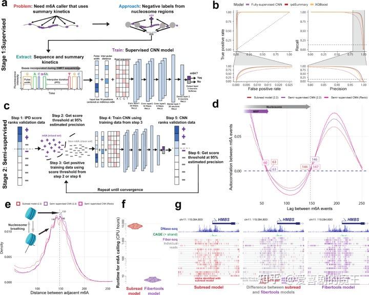 论文阅读——利用 fibertools 进行 DNA-m6A 调用和长读数表观遗传学与基因综合分析 - 知乎