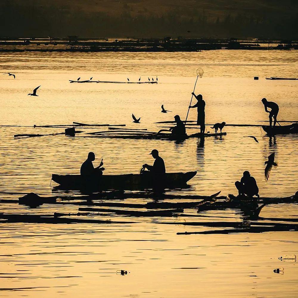 阳光下的温暖色调/Jilson Tiu - 知乎