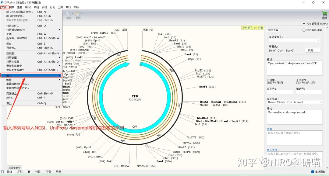 超详细的保姆级SnapGene软件应用汇总，建议收藏备用！！！ - 知乎