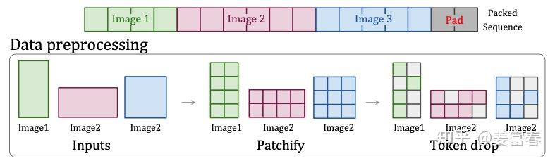 多模态技术梳理：ViT系列（ViT, Pix2Struct, FlexiViT, NaViT ） - 知乎