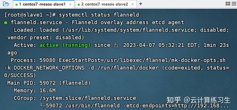 Docker安装与配置flannel - 知乎
