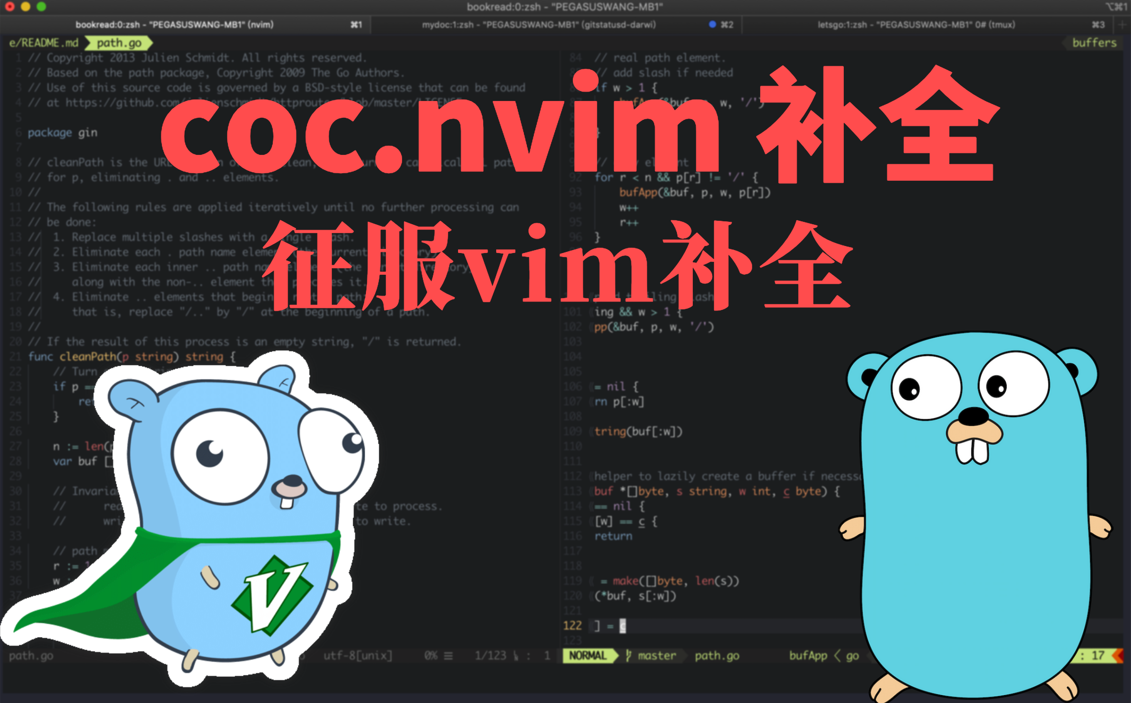 Jetbrains到期？试试 coc.nvim 征服 vim/neovim 补全[视频] - 知乎