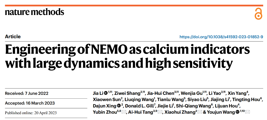 小布解读 | Nat Methods | 王友军/章晓辉/唐爱辉团队合作开发新型钙指示剂 NEMO-具有大动力学和高灵敏度 - 知乎