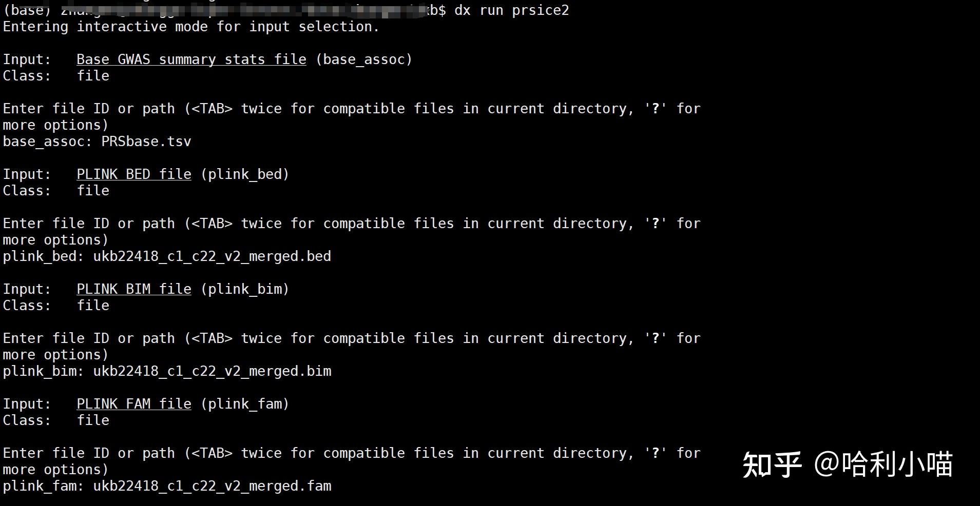 UKB-RAP(DNAnexus)命令行多基因风险评分计算（PRSice2）-UKBB新版tips3 - 知乎