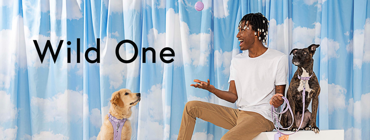 海外网红营销|宠物成“时髦单品”，牵狗绳WILD ONE如何在海外营销为网红宠物品牌？ - 知乎