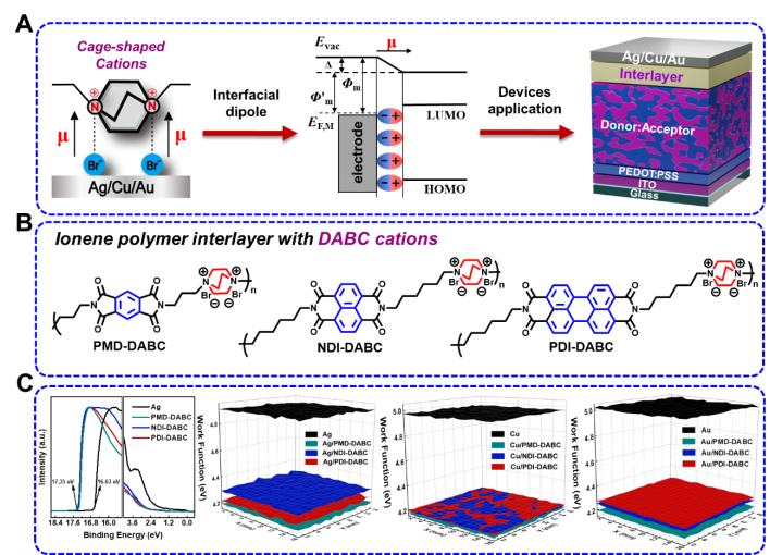 北化工刘瑶团队Angew：基于二氮杂双环电活性紫罗烯阴极界面修饰层的高效稳定有机太阳能电池 - 知乎