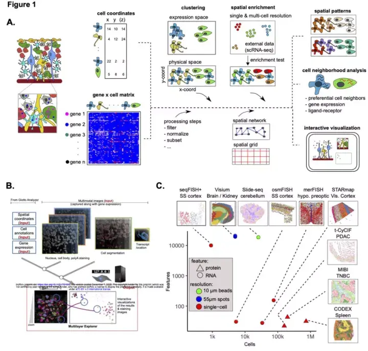 10X空间转录组分析回顾之Giotto - 知乎