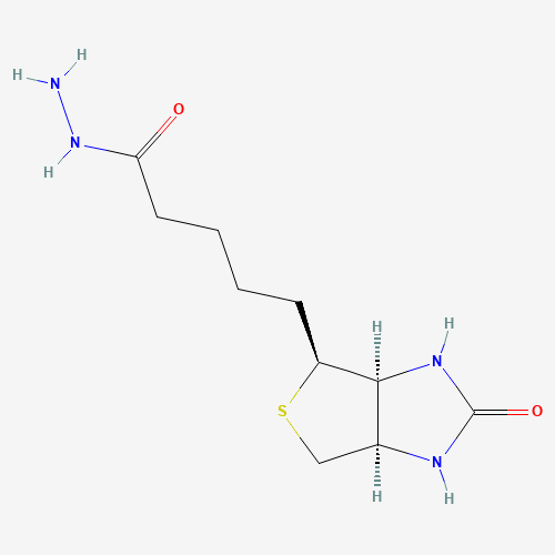 Biotin hydrazide；蛋白质羰基化探针 - 知乎