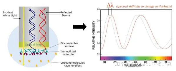 ForteBio Octet分子相互作用实验服务 - 知乎
