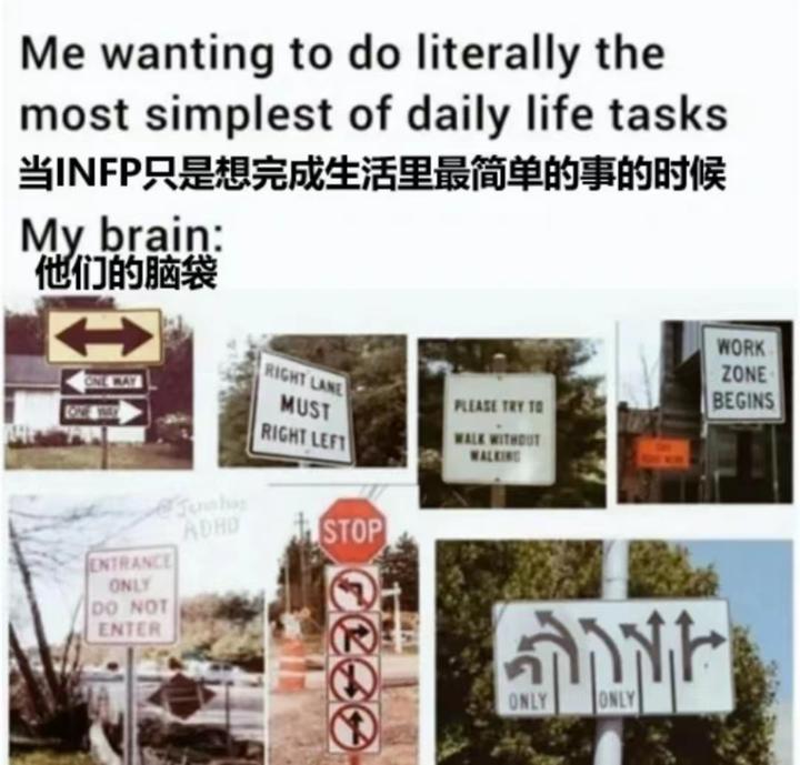 如何做infp的完美伴侣 知乎