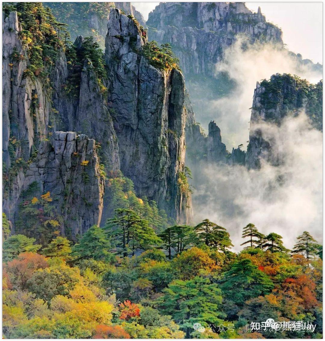 6 款超实用的 Coze 插件，让你的智能体开发效率提升 200% - 知乎