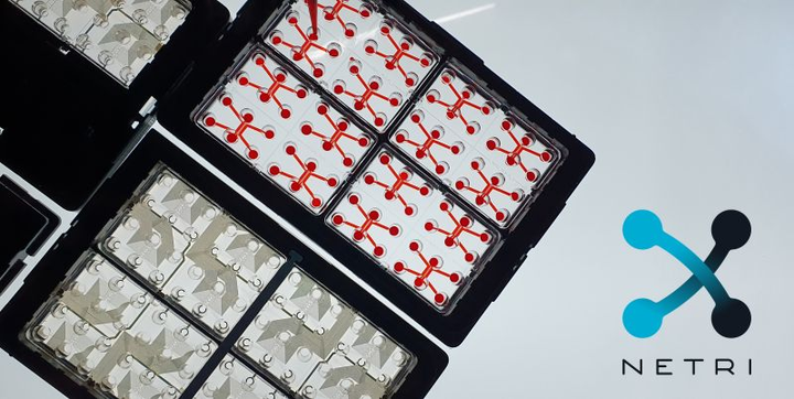 NETRI器官芯片——皮肤模型构建 - 知乎