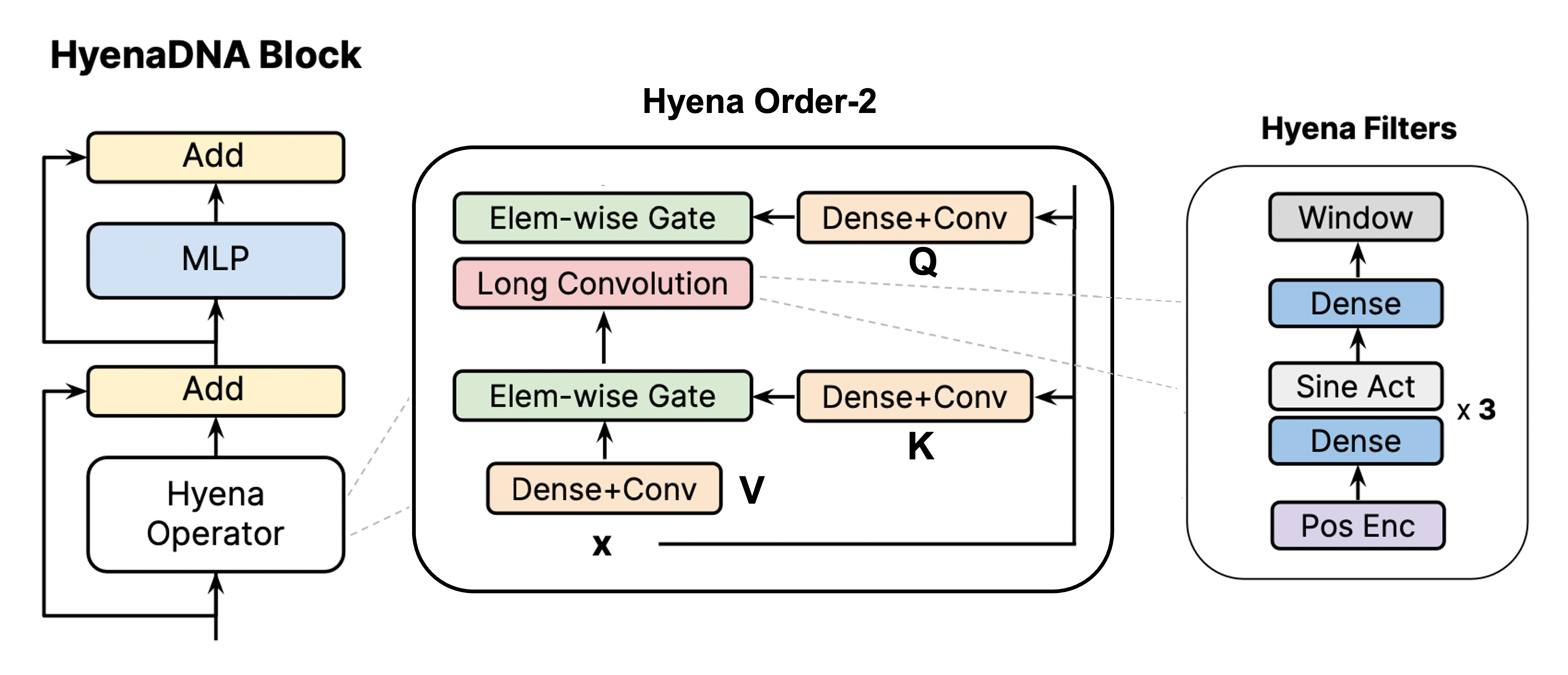 (九) HyenaDNA 技术解读 | 基于 Hyena 架构的超长 DNA 序列预训练模型 - 知乎